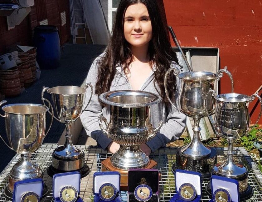 How to Identify a Champion Race Pigeon - Netherlands Racing Pigeons